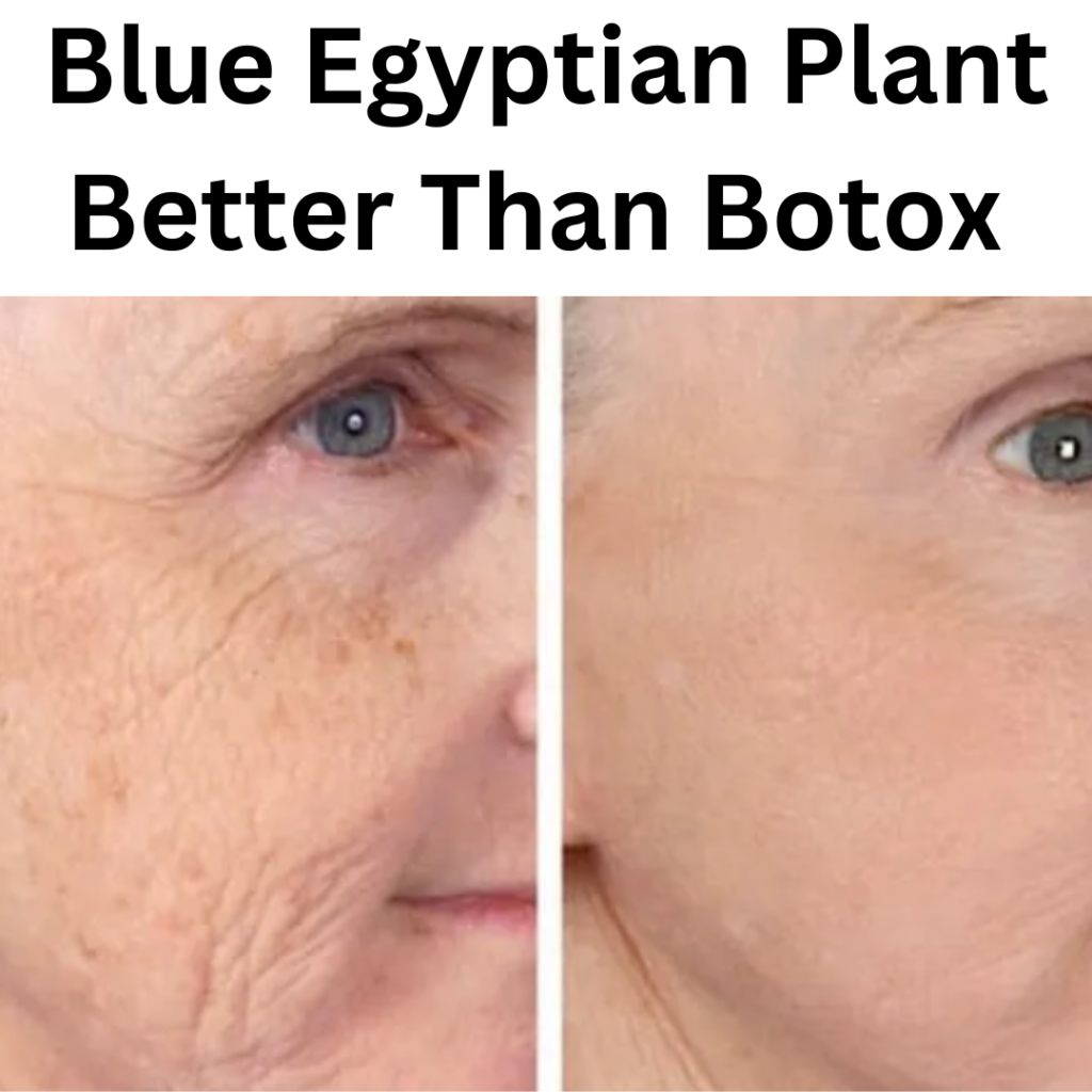 Discover the Blue Egyptian Plant Better Than Botox Neotonics Reviews
